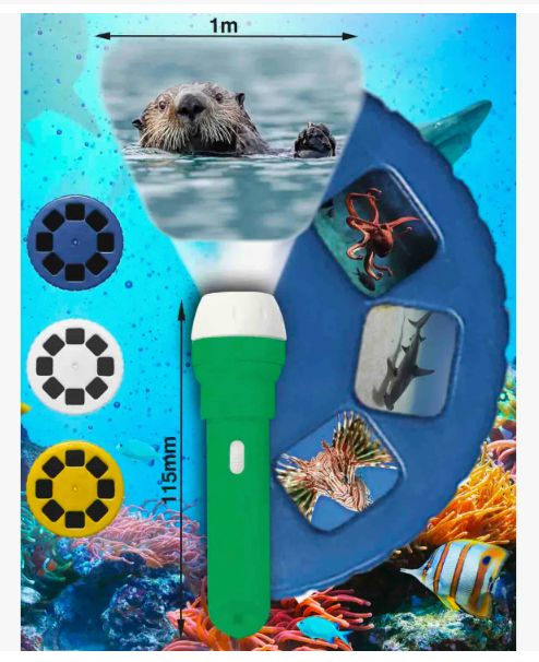 Natural History Museum Sea Creatures Torch & Projector – Stay Forever